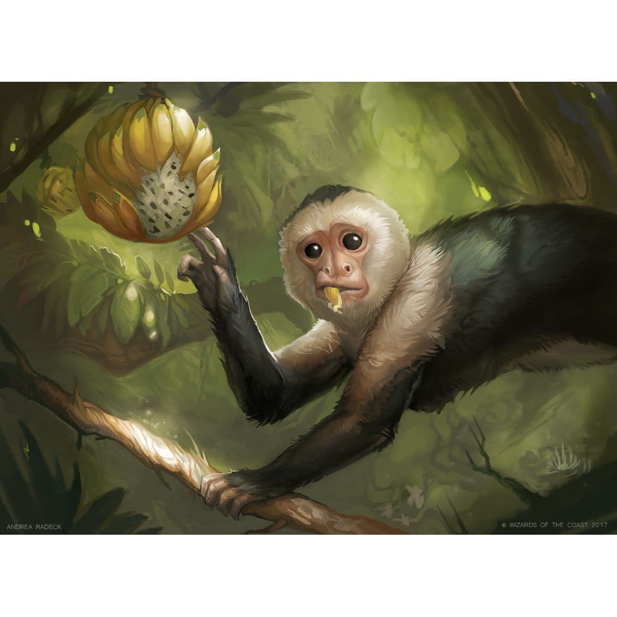 Half Spider Half Monkey