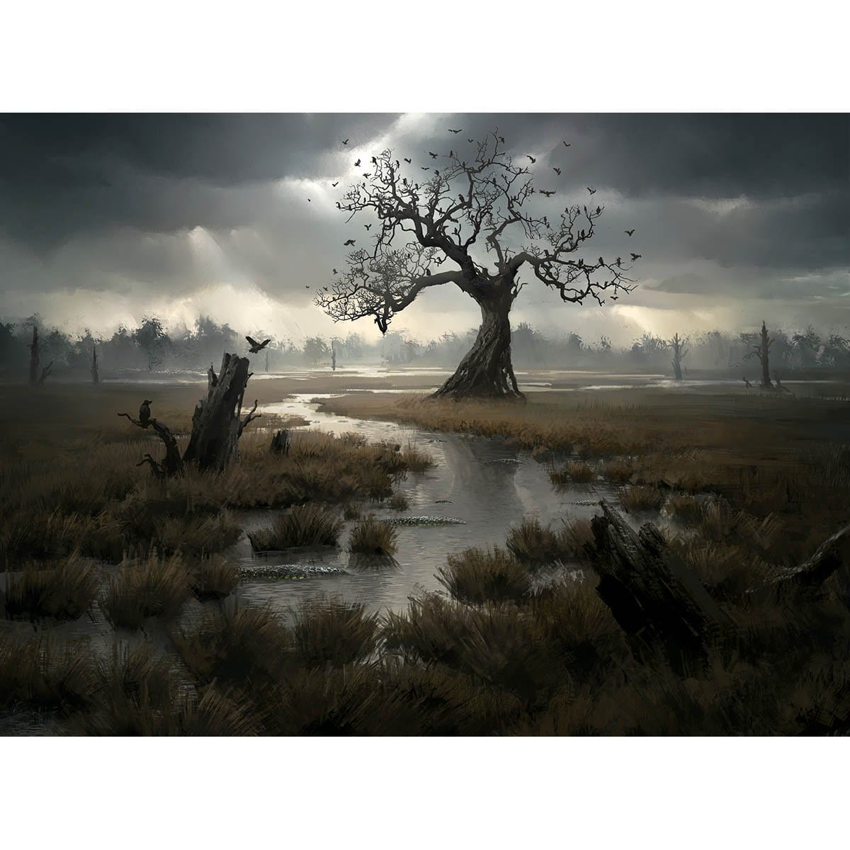 Printable Swamp Pictures