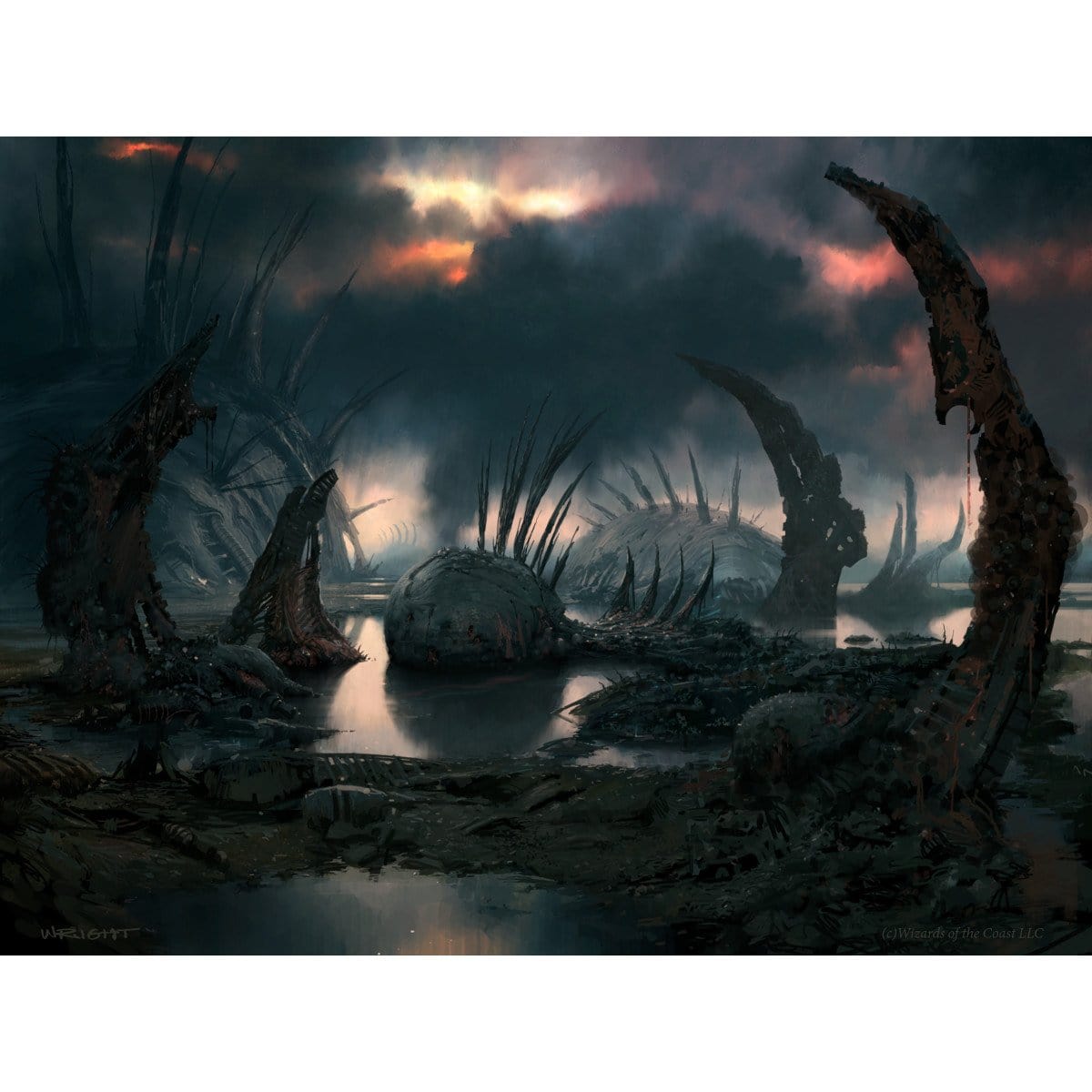 Magic The Gathering Swamp Art