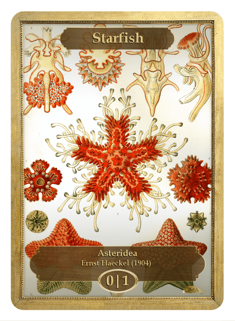Patreon Tokens Tagged "Starfish" - Original Magic Art